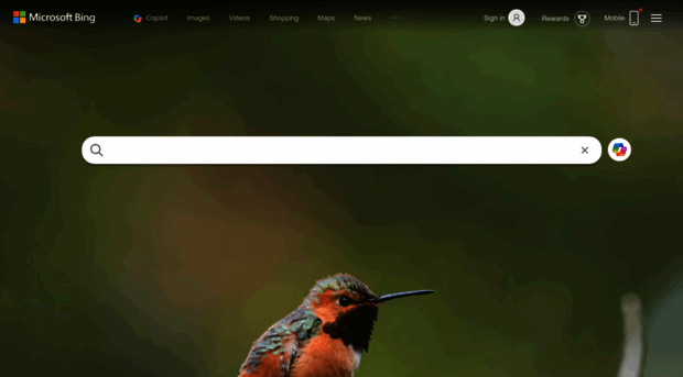 26.bing.com - Search - Microsoft Bing - 26 Bing