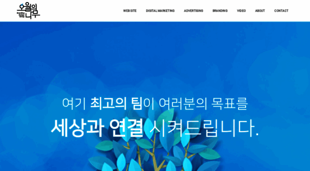 5tree.co.kr - (주) 오월의나무 컴퍼니 - 5 Tree