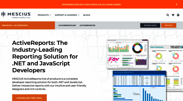 activereports.grapecity.com - .NET and JS Reporting Solution... - Active Reports Grapecity