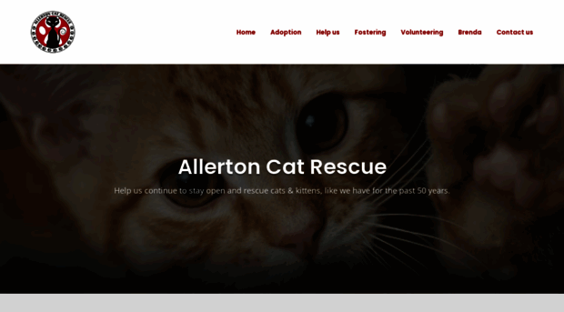 allertoncatrescue.co.uk - Allerton Cat Rescue | Bradford - Allerton Cat ...