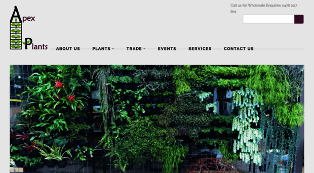apexplants.com.au - Apex Plants | The Pinnacle of ... - Apex Plants