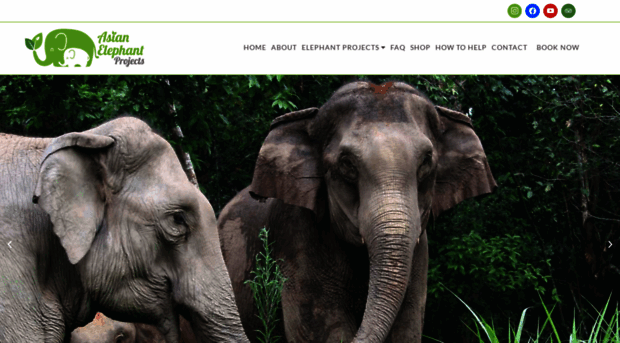 asianelephantprojects.com - Elephant Sanctuaries Chiang Ma... - Asian ...