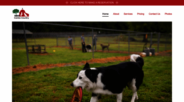 caninecountry.dog - Canine Country - Premier Dog B... - Canine Country