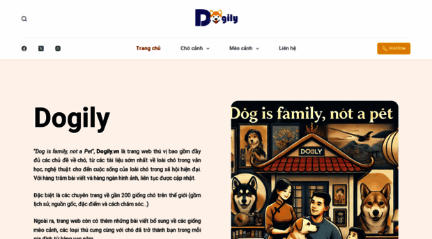 dogily.vn - Chomeocanh.com | Web Chó Mèo C... - Dogily