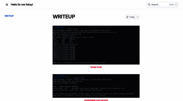 dokuemantasyon.gitbook.io - WRITEUP | Hello its me Selay! - Dokuemantasyon Gitbook