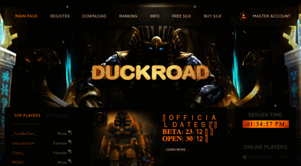 duck-road.com - DuckRoad Online | Free to Play... - DUCK ROAD