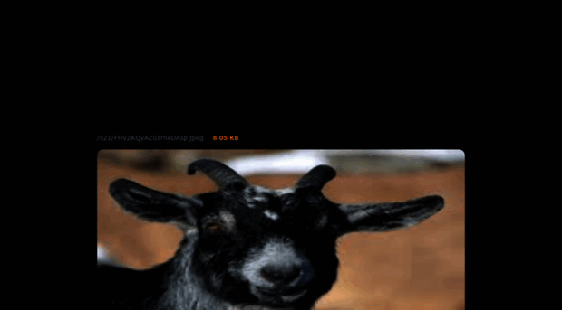 fileditchfiles.me - File Viewer - File Ditch S