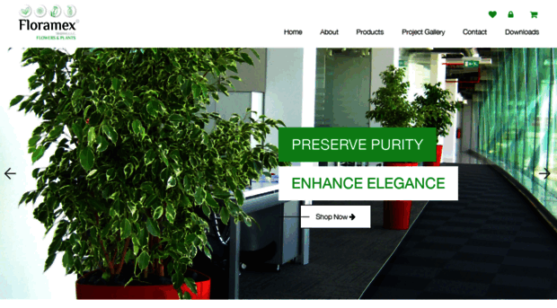 floramex.ae - Home page - Floramex