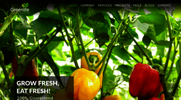Websites neighbouring Cgtips-my.sharepoint.com