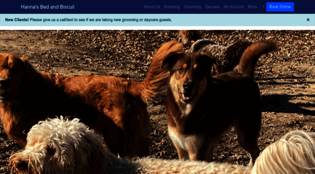 hannasbedandbiscuit.com - Hanna's Bed and Biscuit - Hanna S Bed And Biscuit