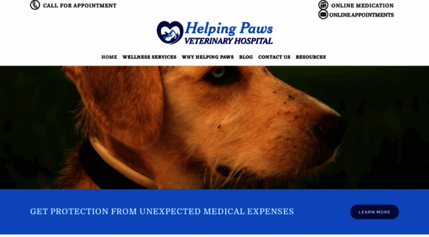 helpingpaws.vet - Helping Paws Veterinary Hospit... - Helping Paws