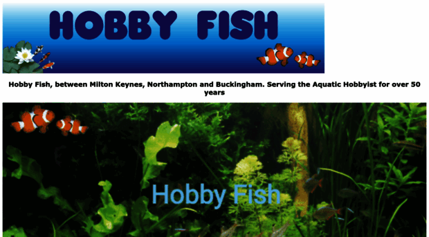 hobbyfish.net - Hobby Fish - Hobby Fish
