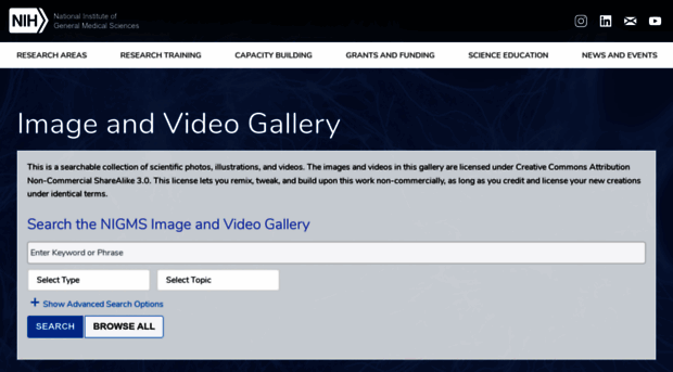 images.nigms.nih.gov - Image and Video Gallery - Image S Nigms Nih