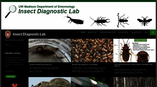 insectlab.russell.wisc.edu - UW Insect Diagnostic Lab - Wis... - Insect ...