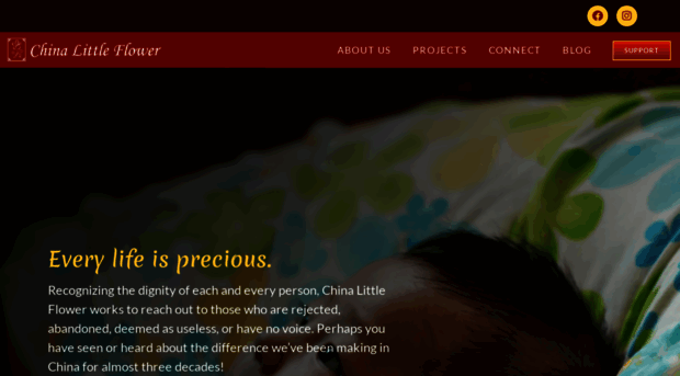 littleflowerprojects.org - China Little Flower - Little Flower Projects