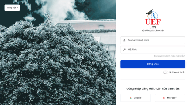 lms.uef.edu.vn - Home | LMS - LMS Uef