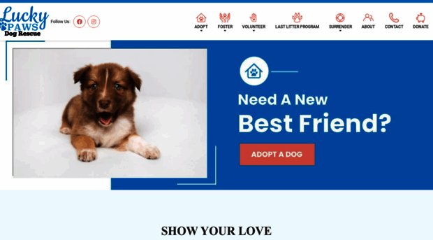 luckypaws.com.au - Lucky Paws Dog Rescue Inc – Re... - Lucky Paws