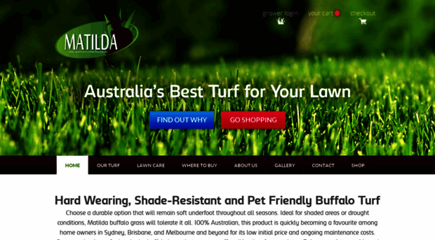 matildaturf.com.au - Buffalo Grass Turf in Melbourn... - Matilda Turf