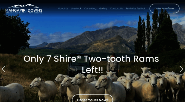 organic-rams.co.nz - Mangapiri Downs - Organic Rams