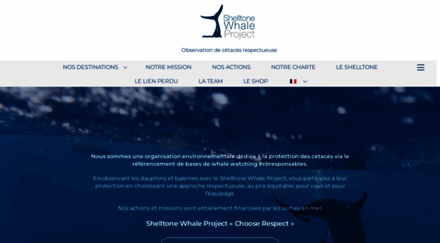 shelltonewhaleproject.org - Shelltone Whale Project - Watc ...