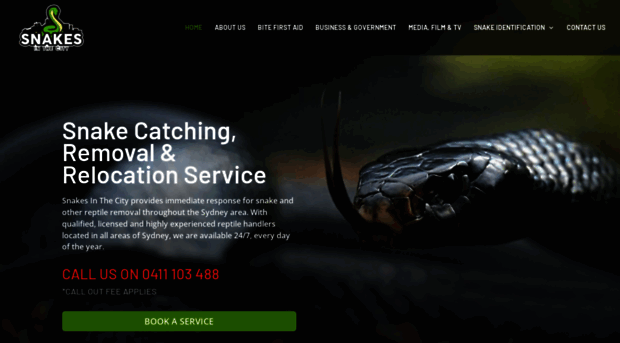 snakesinthecity.com.au - Snake Catching, Removal & Relo... - Snakes In ...