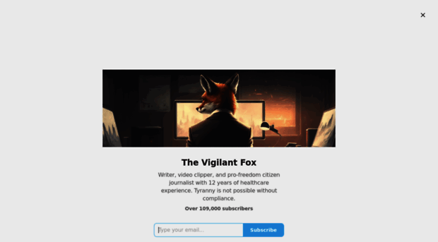 vigilantfox.substack.com - The Vigilant Fox | Substack - Vigilant Fox Substack